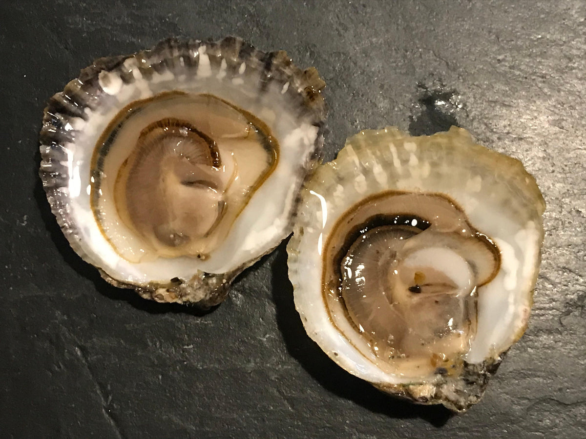 Loch Beag Native Oyster (Eisear Oir)